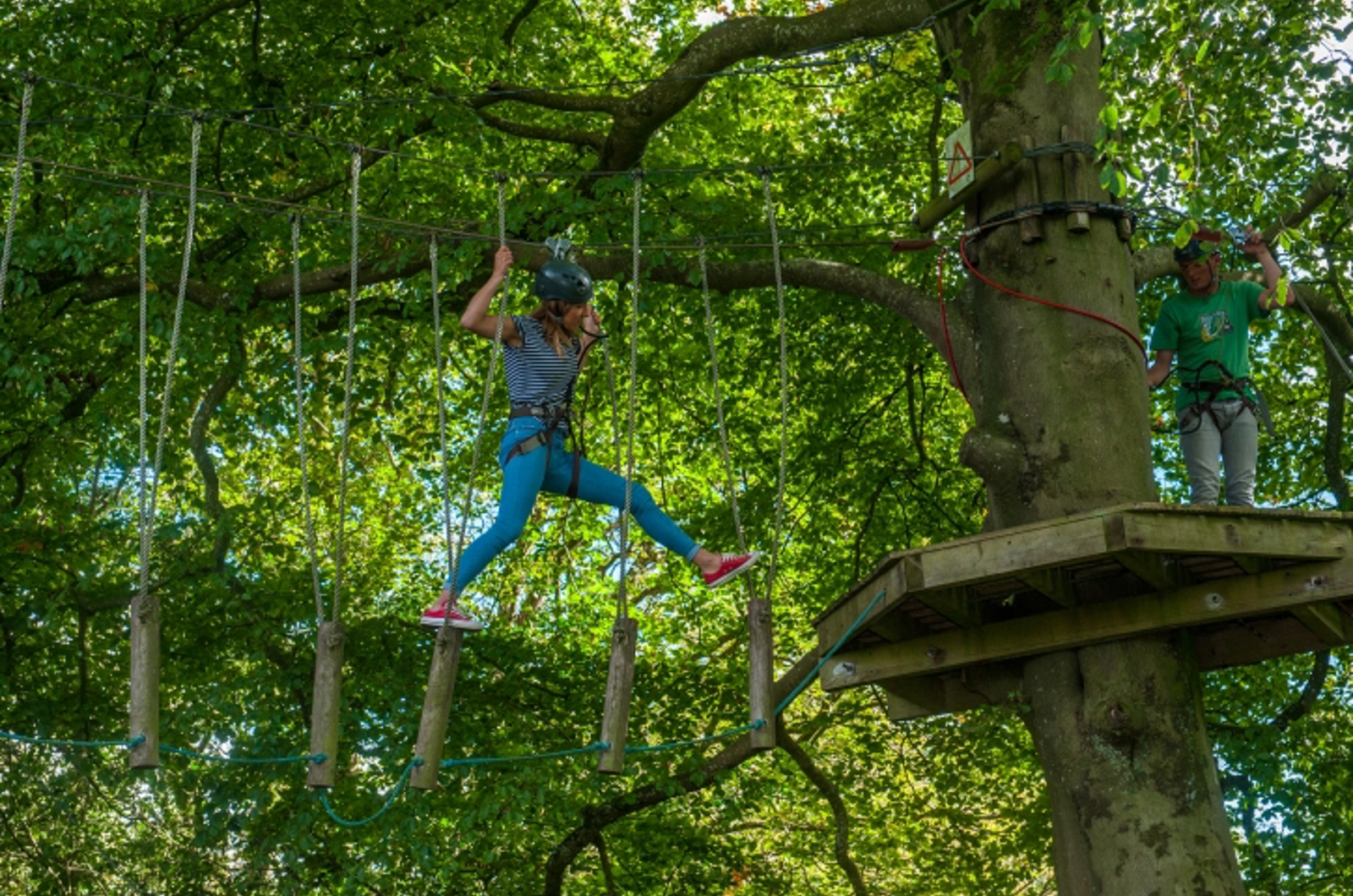 Senior Tree Tops Trail at Heatherton World of Activities, Pembrokeshire