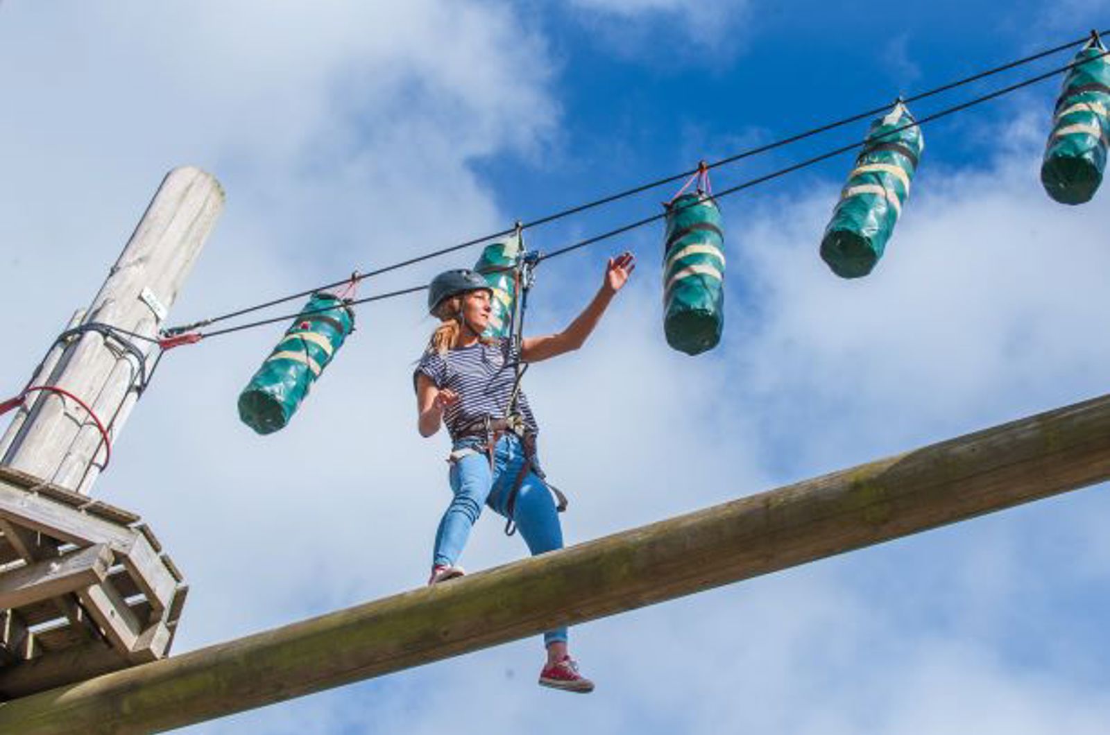 Senior Tree Tops Trail at Heatherton World of Activities, Pembrokeshire