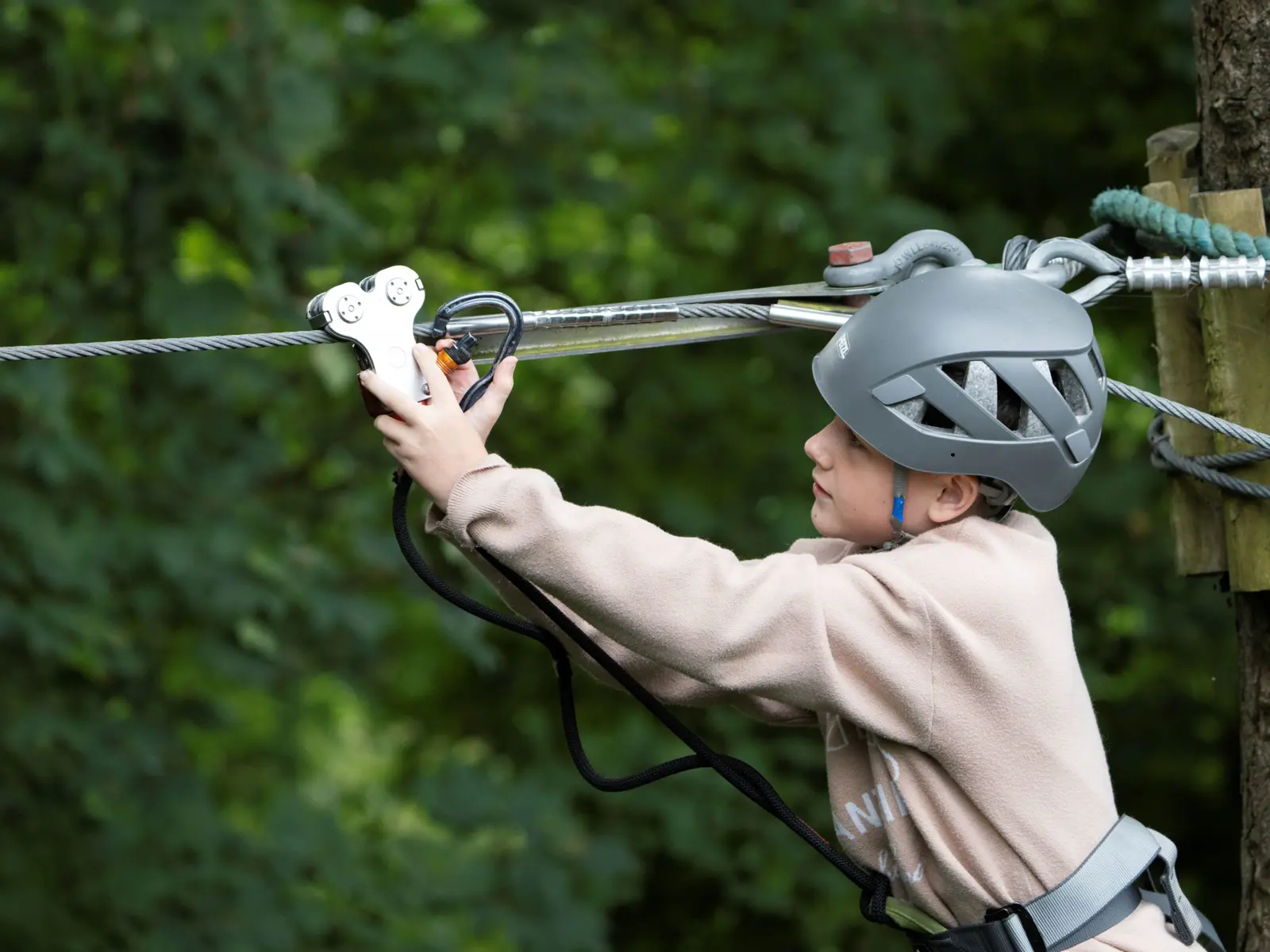 Tree Tops Trail at Heatherton World of Activities