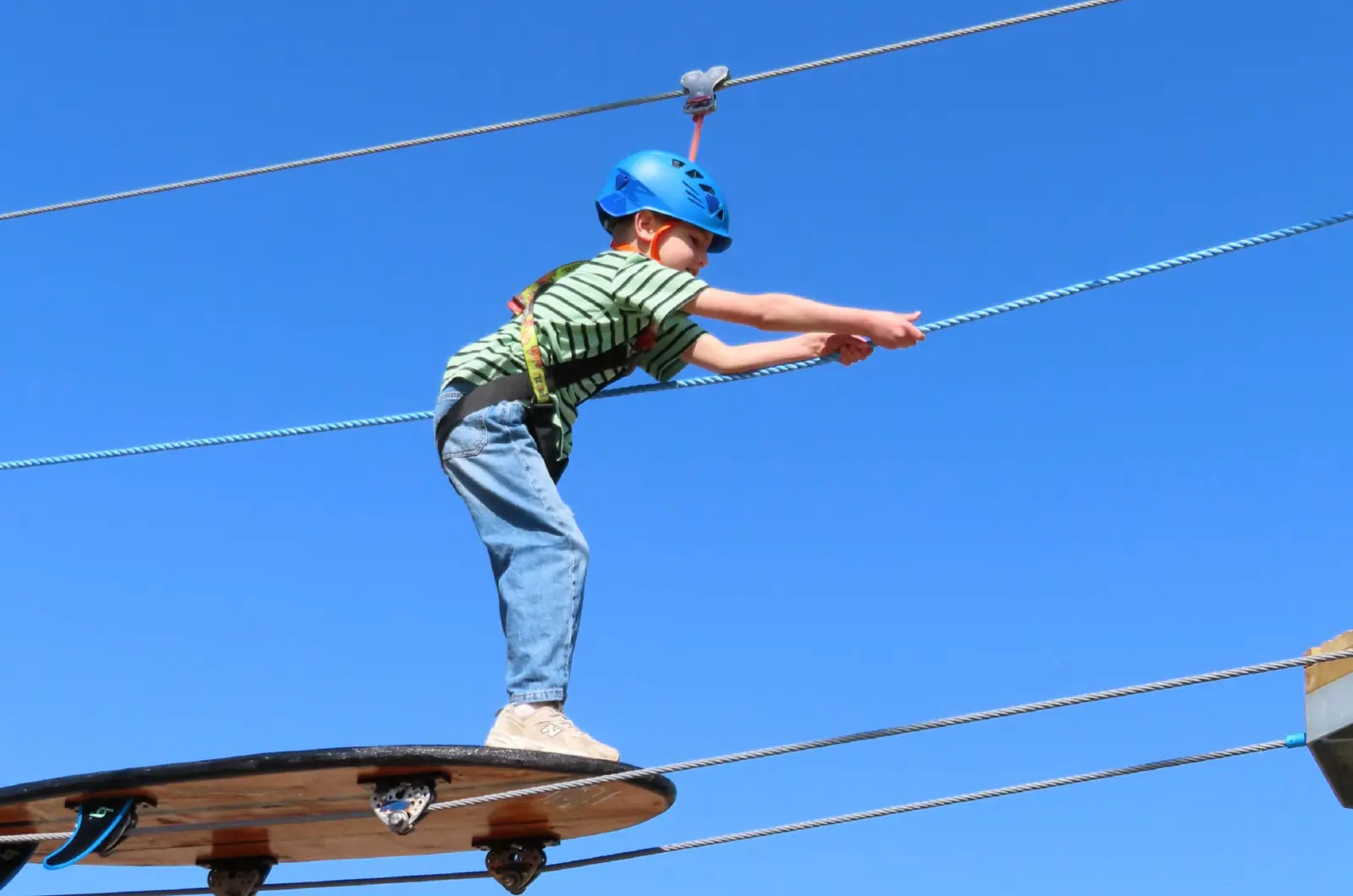 Junior Tree Tops Trail at Heatherton World of Activities, Tenby